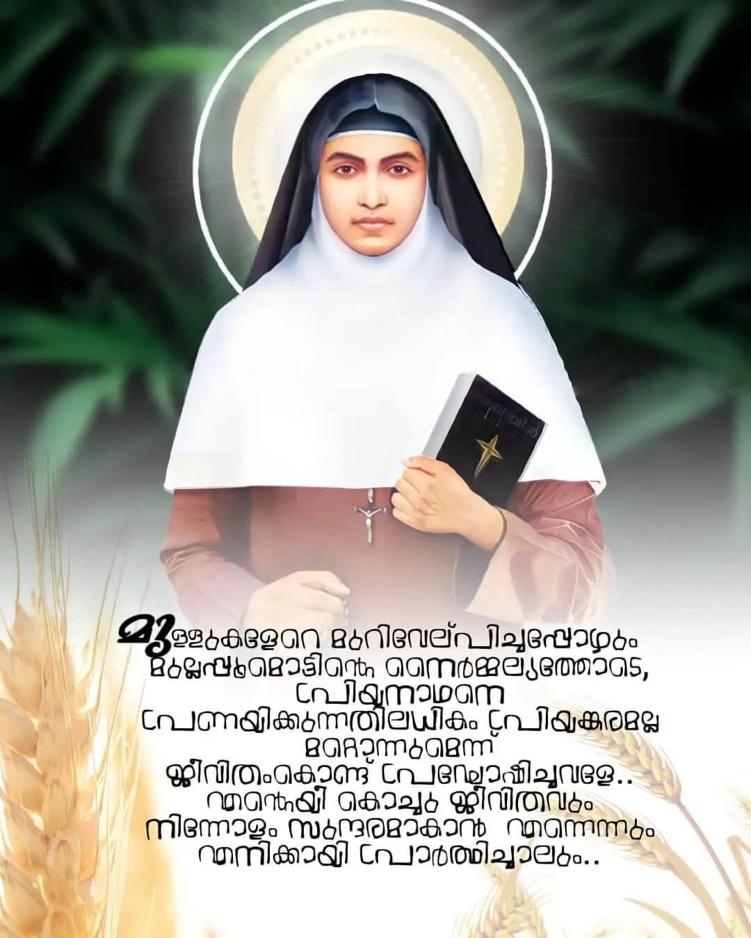 100+ Bible Quotes in Malayalam | മലയാളം ബൈബിൾ വചനങ്ങൾ